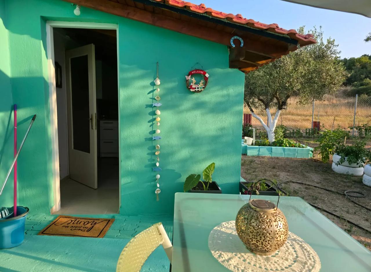 Farm House Sykia - Sikija, Sitonija - Grčka Info