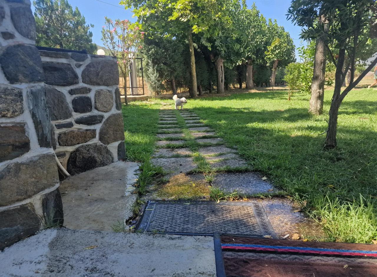 Sias Cozy House - Sikija, Sitonija - Grčka Info