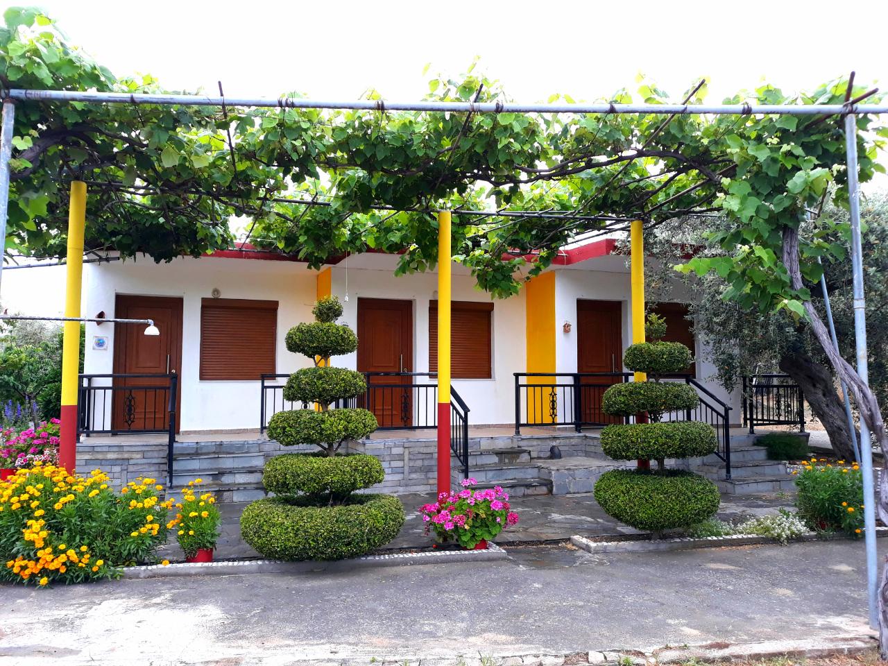 Zoi Studios - Aliki, Tasos - Grčka Info